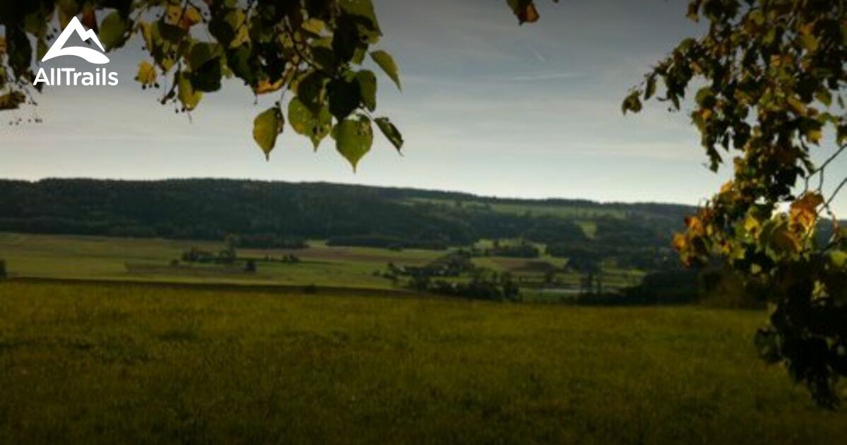 10 Best kid-friendly trails in Steigerwald Nature Park | AllTrails