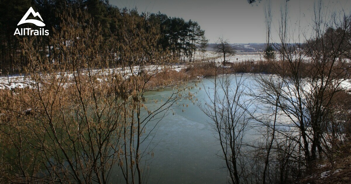 Best forest trails in Fruška Gora | AllTrails