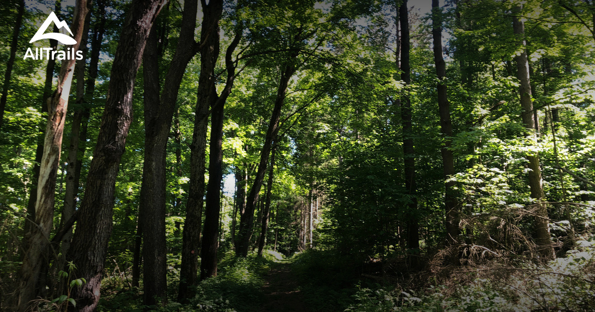 Best hikes and trails in Groton Park | AllTrails