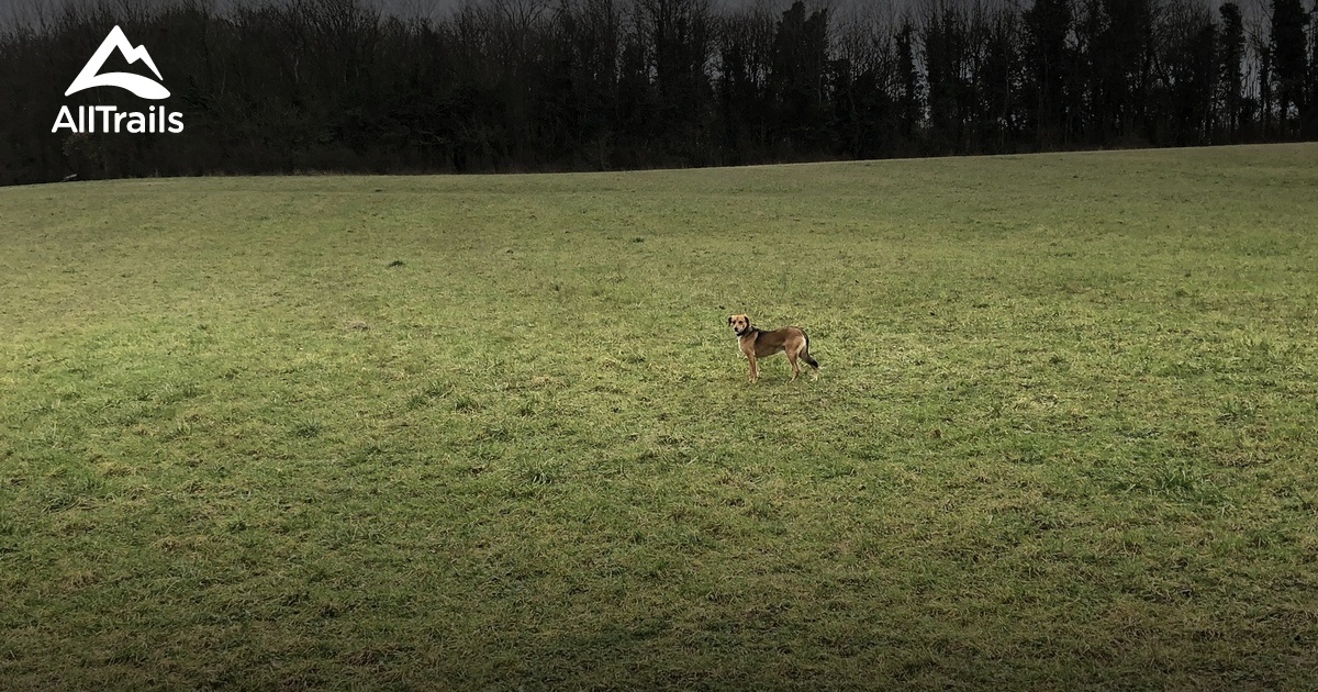 Los mejores senderos y rutas en Capstone Farm Country Park | AllTrails