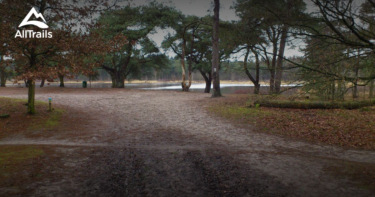 10 Best hikes and trails in De Groote Heide | AllTrails