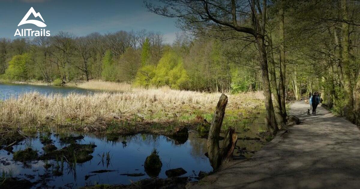 10 Best hikes and trails in Grunewald | AllTrails