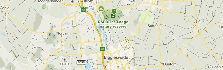 Las 10 mejores rutas en RSPB The Lodge Nature Reserve | AllTrails