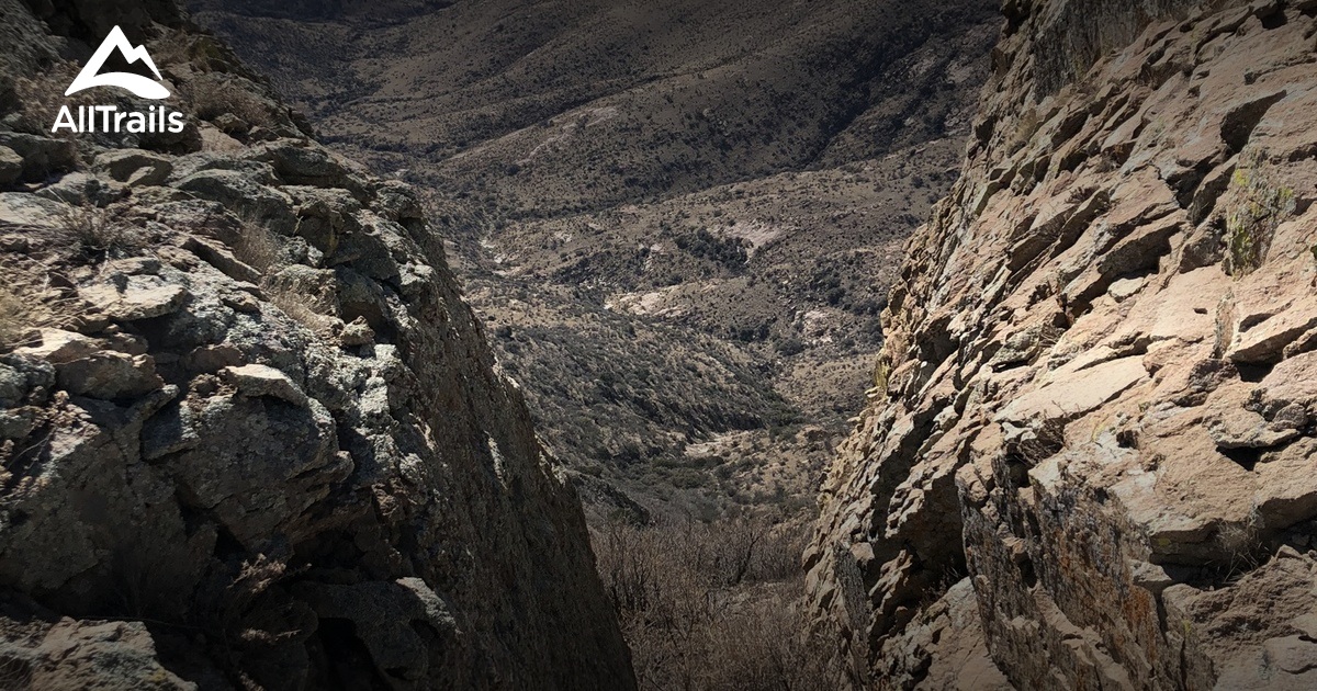 Best hikes and trails in Cookes Range Wilderness Study Area | AllTrails