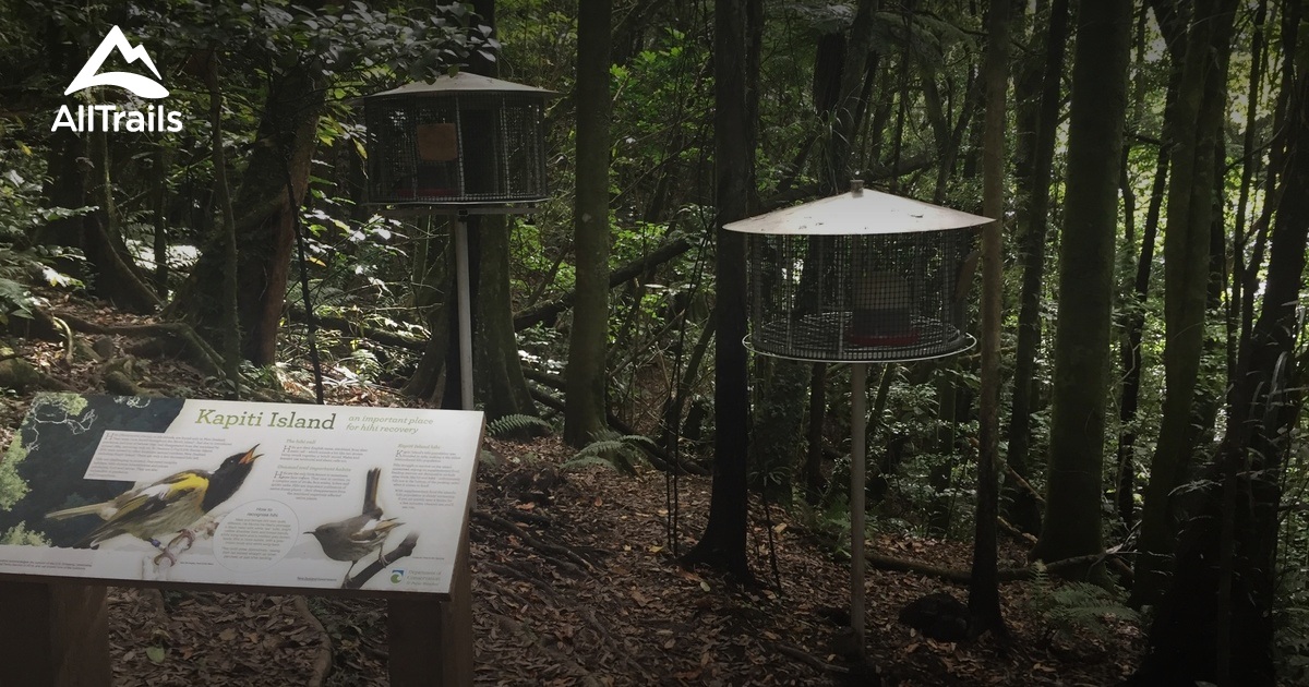 Best hikes and trails in Kapiti Island Nature Reserve | AllTrails
