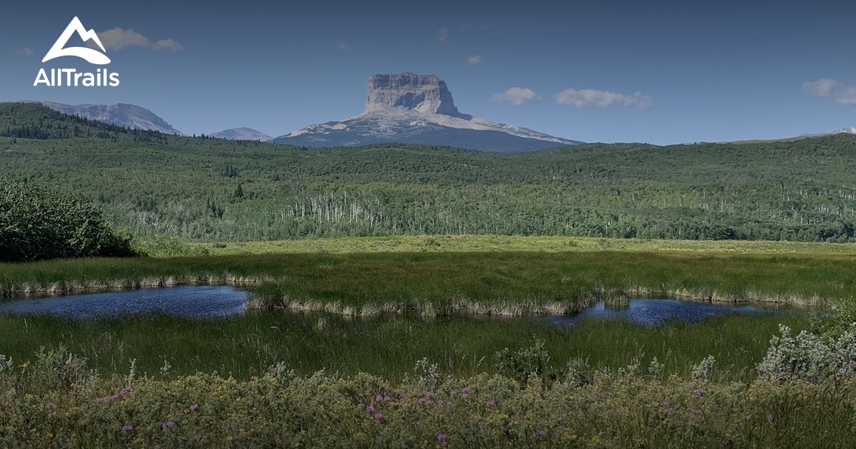 Best Trails in Police Outpost Provincial Park - Alberta, Canada | AllTrails