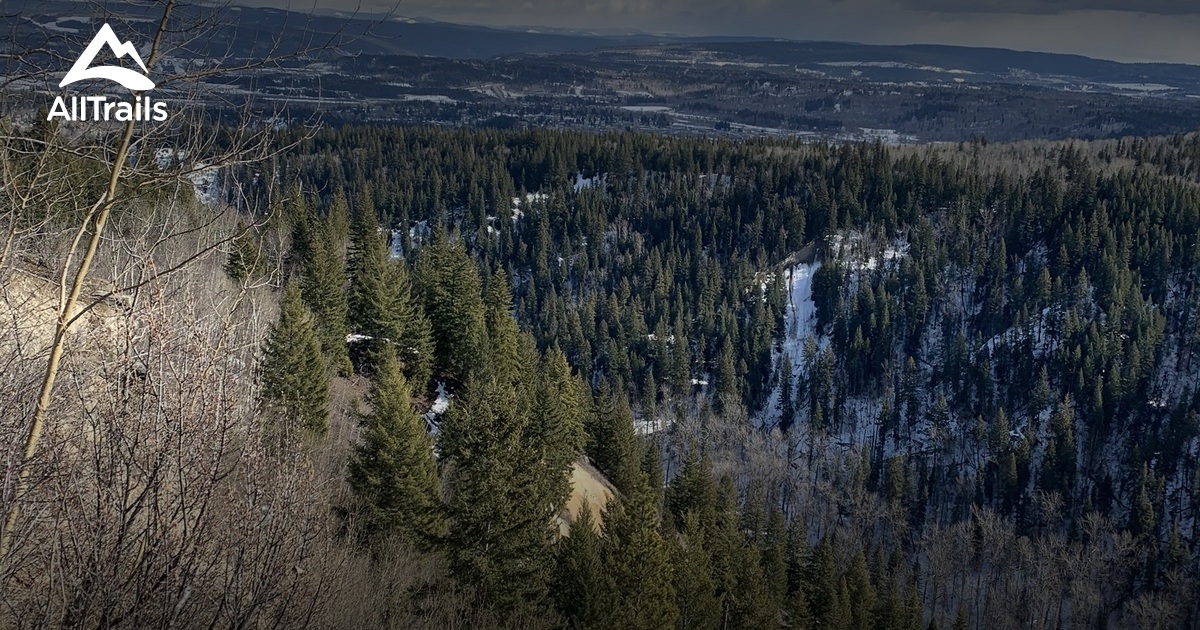 Best hikes and trails in Pinnacles Provincial Park | AllTrails