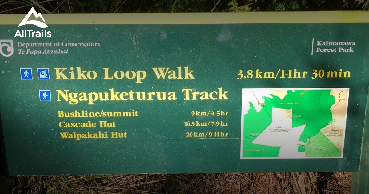 10 Best hikes and trails in Kaimanawa Forest Park | AllTrails