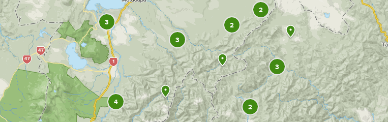 Best 10 Trails in Kaimanawa Forest Park | AllTrails