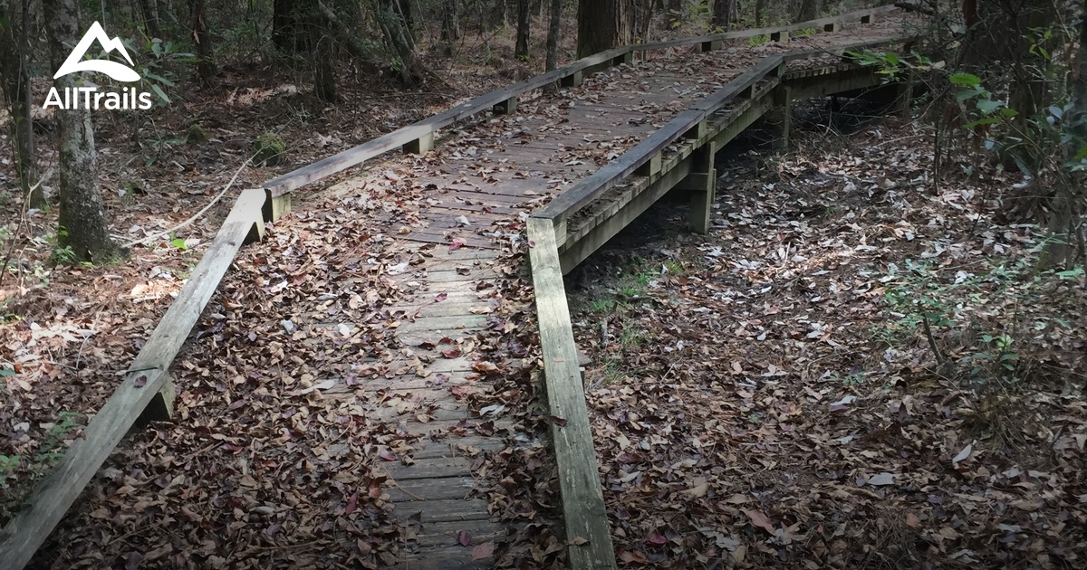 Best hikes and trails in Wolf River Preserve | AllTrails