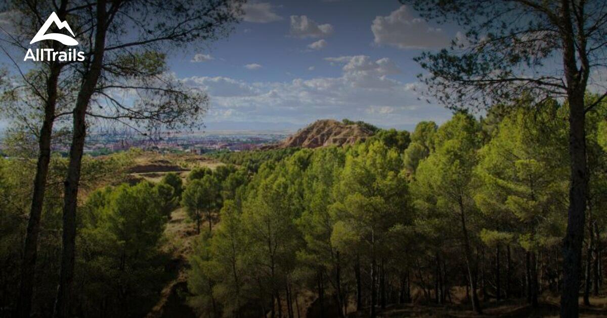 10 Best hikes and trails in Los Cerros de Alcalá Nature Park | AllTrails