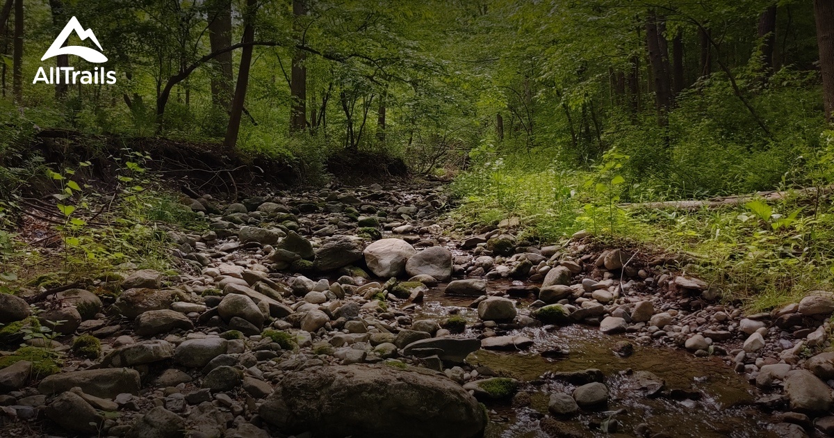 Best hikes and trails in Kashong Conservation Area | AllTrails