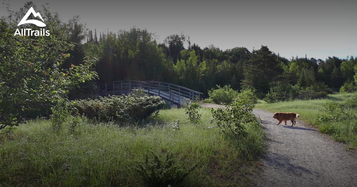 Best hikes and trails in Inverhuron Provincial Park | AllTrails