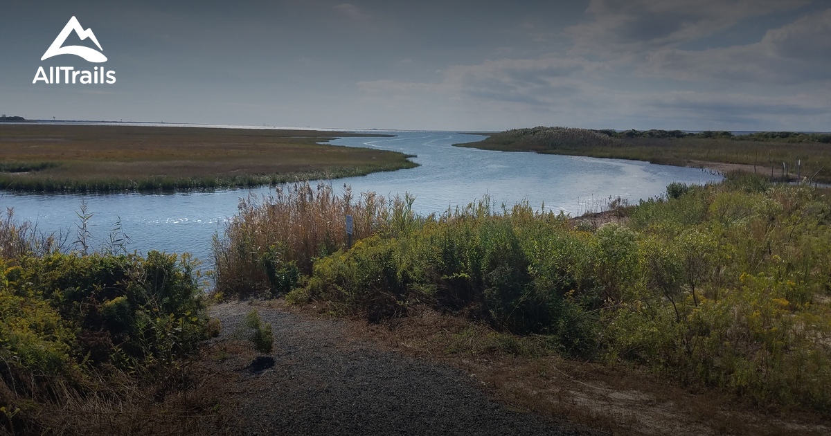 Best hikes and trails in Cedar Bonnet Island | AllTrails