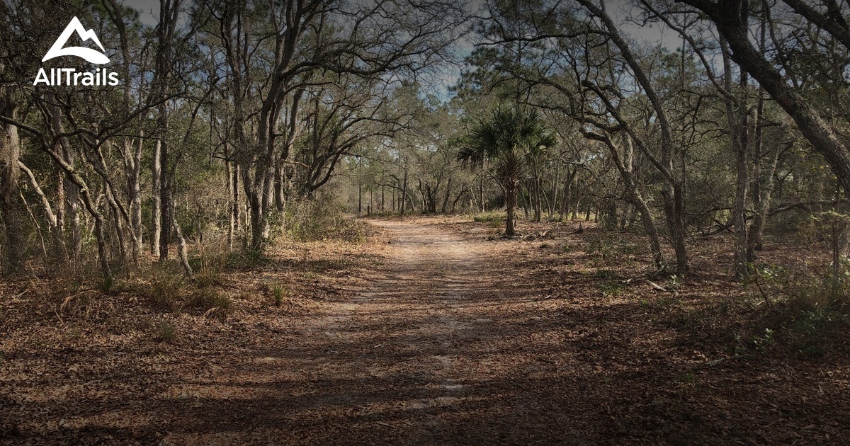 Best Trails in Princess Place Preserve - Florida | AllTrails