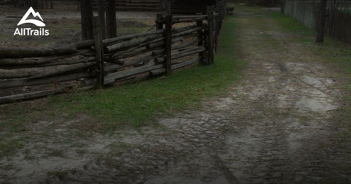 Best hikes and trails in Princess Place Preserve | AllTrails