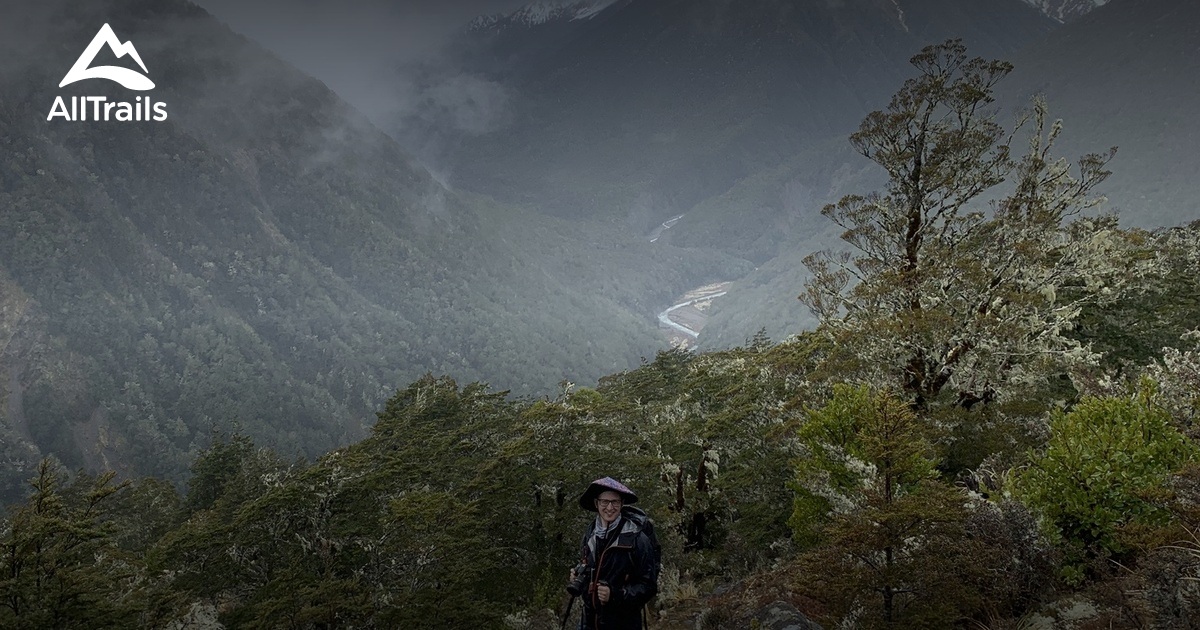 10 Best hikes and trails in Lewis Pass Scenic Reserve | AllTrails