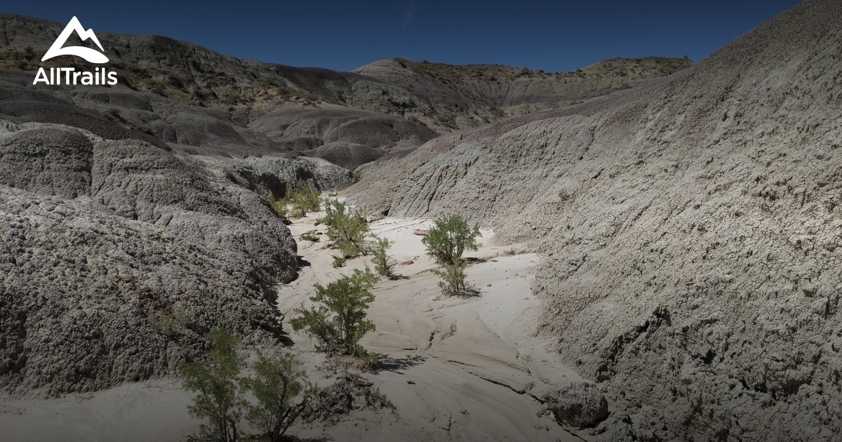 Best views trails in Lybrook Fossil Area | AllTrails