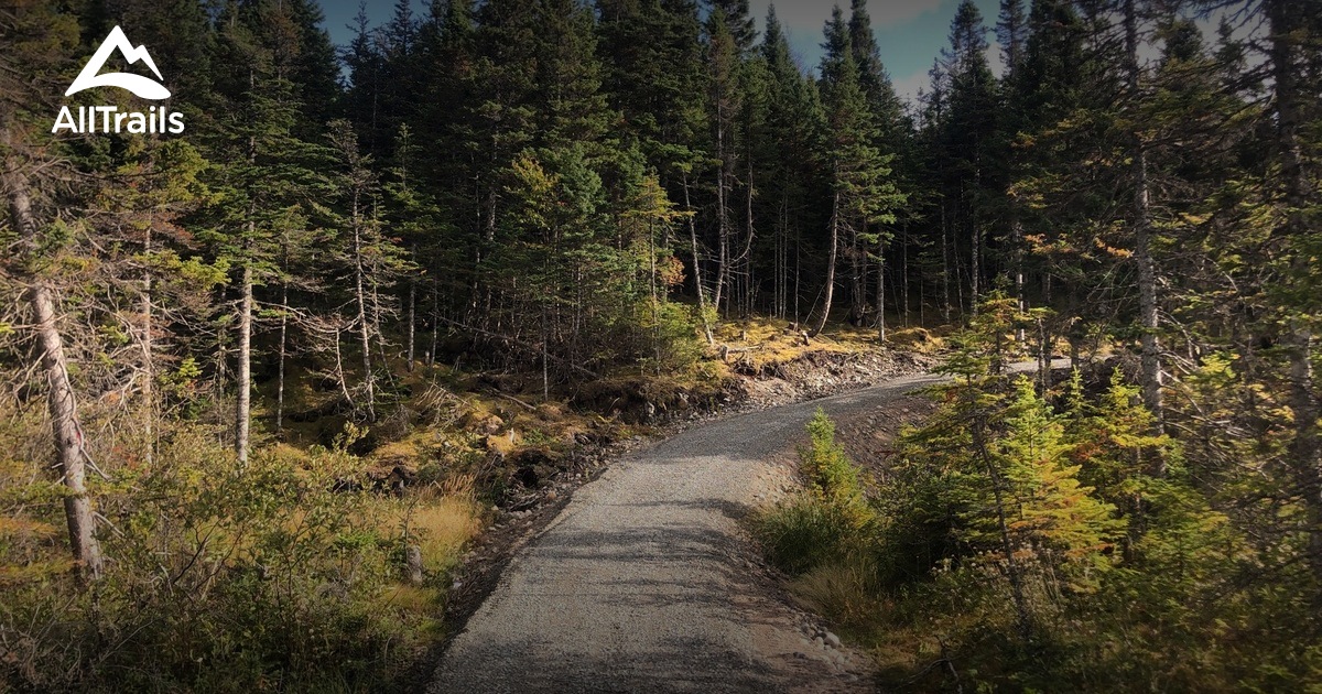 Best hikes and trails in Crooked Tree Park | AllTrails