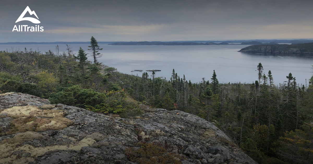 Best hikes and trails in Damnable Trail Network | AllTrails