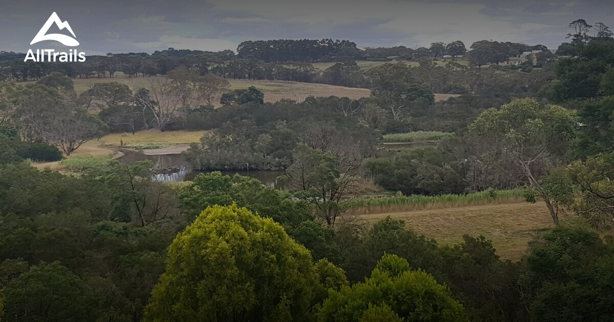Best hikes and trails in Balcombe Creek Bushland Reserve | AllTrails