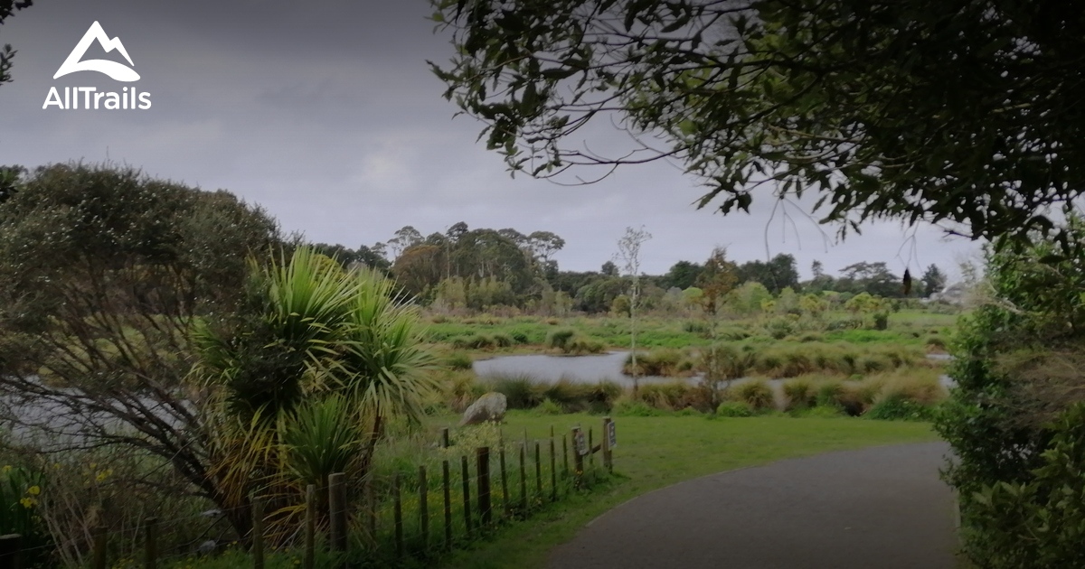 Best hikes and trails in Waiatarua Reserve | AllTrails
