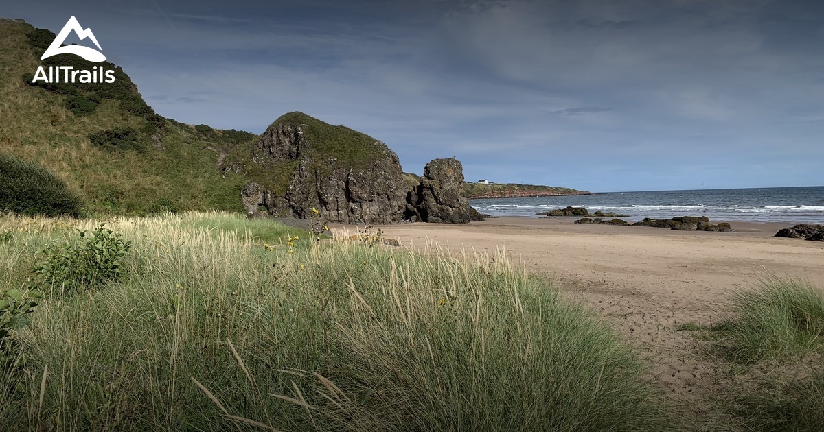 Best walking trails in St Cyrus National Nature Reserve | AllTrails