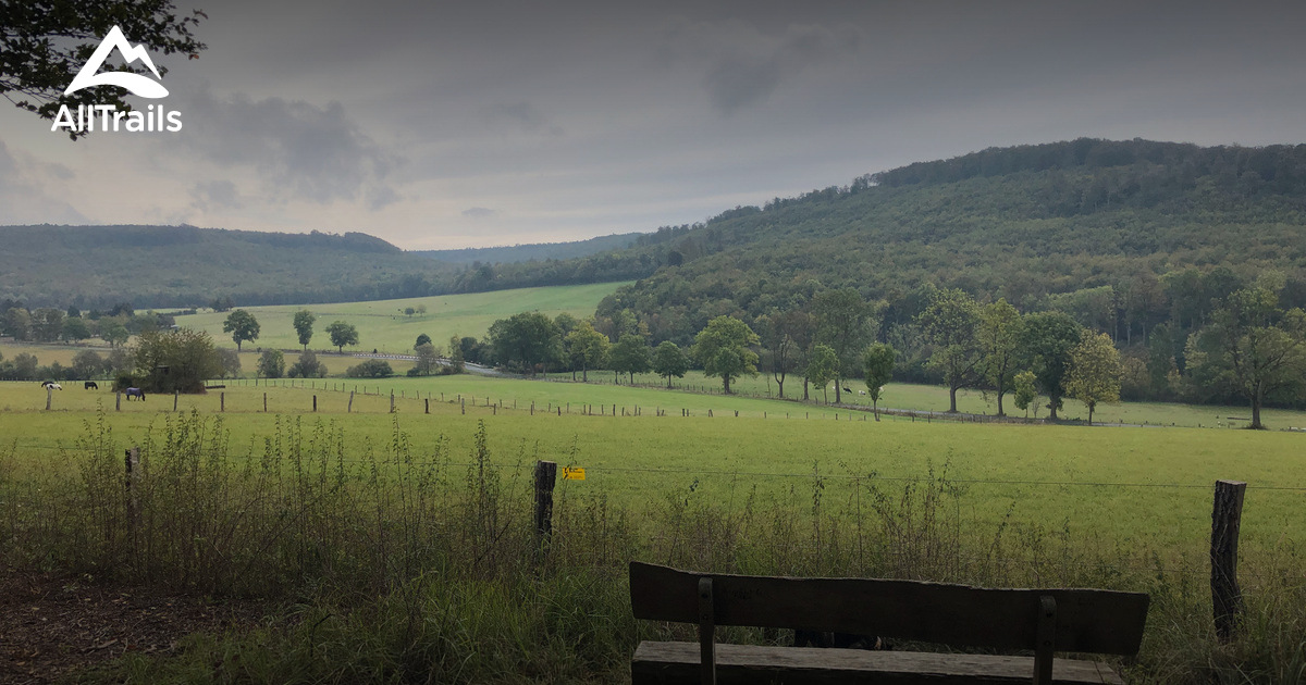 10 Best hikes and trails in Elm-Lappwald Nature Park | AllTrails