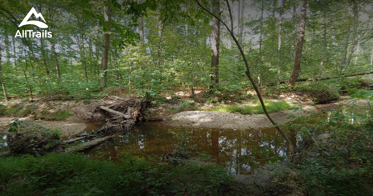 Best hikes and trails in Chaptico Park | AllTrails