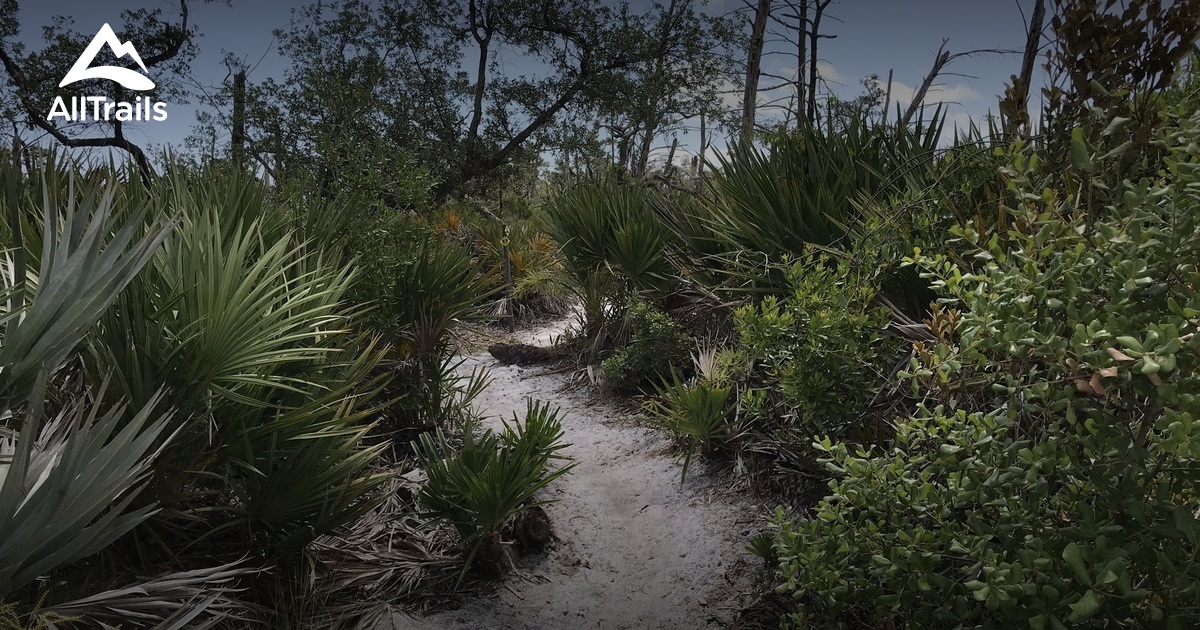 Best hikes and trails in Cameron Preserve | AllTrails