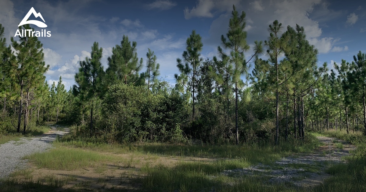 Best hikes and trails in Perdido River Water Management Area | AllTrails