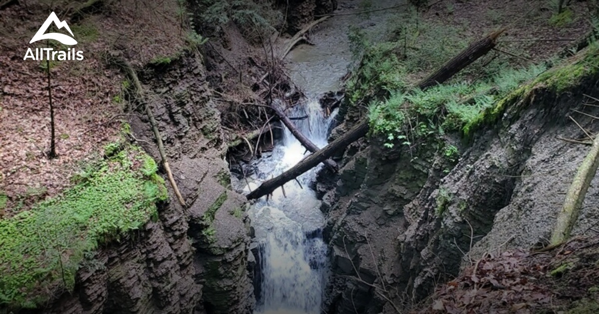 Best Trails in Allen Lake State Forest - New York | AllTrails