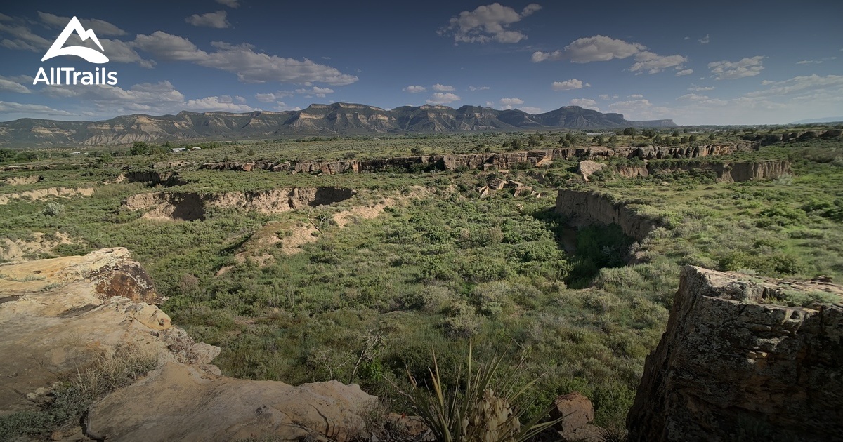 Best hikes and trails in Hawkins Preserve | AllTrails