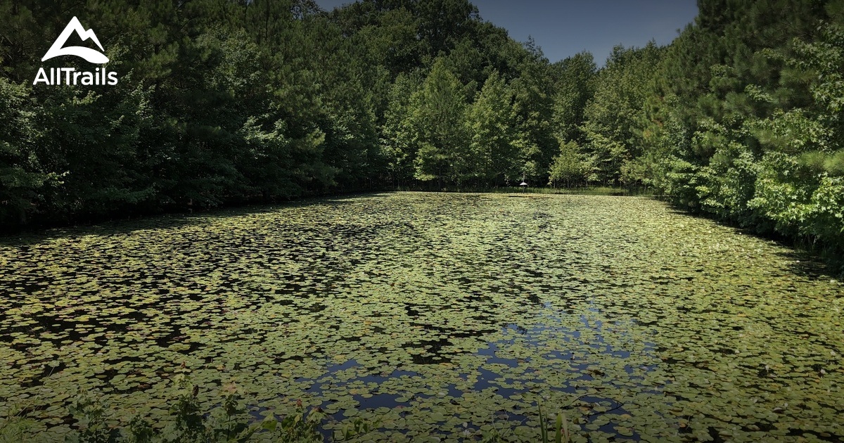 Best hikes and trails in Blackwater National Wildlife Refuge | AllTrails