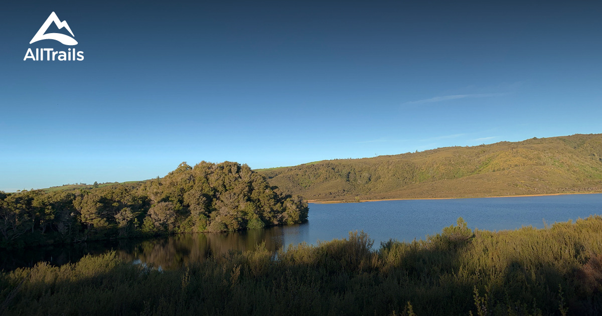 Best hikes and trails in Aorere Goldfields Conservation Area | AllTrails