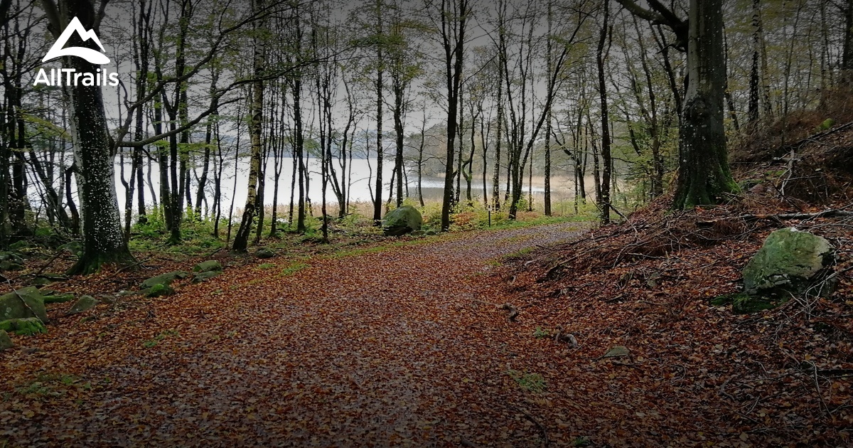 Best hikes and trails in Åkulla Beech Forests | AllTrails