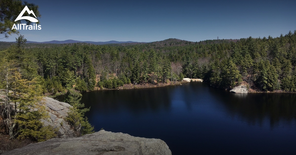 10 Best hikes and trails in Stonehouse Forest | AllTrails