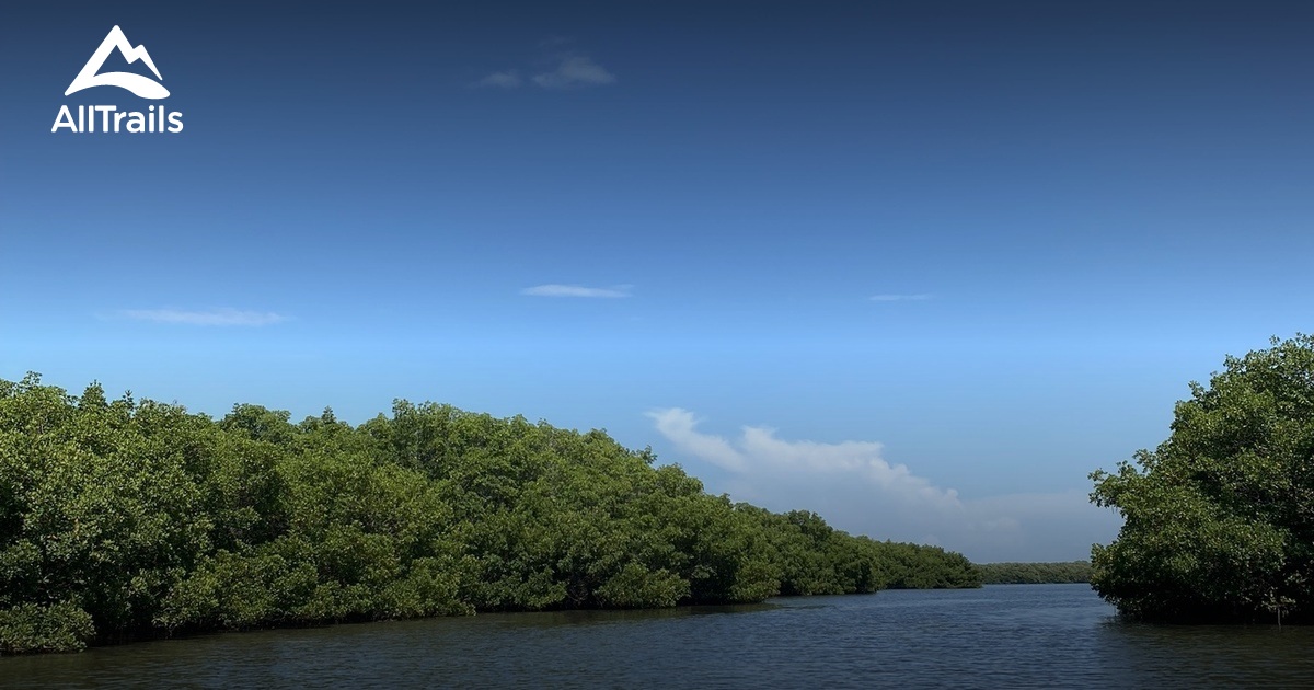 Best hikes and trails in Shell Key Preserve | AllTrails