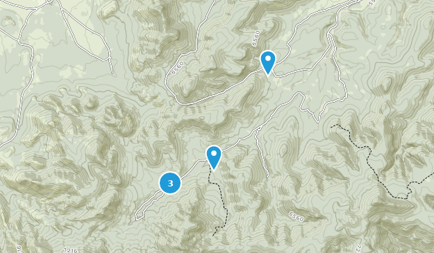 Best Trails in Davis Mountains Preserve - Texas | AllTrails