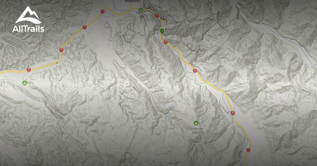 Best Trails in Victoria Forest Park - West Coast, New Zealand | AllTrails