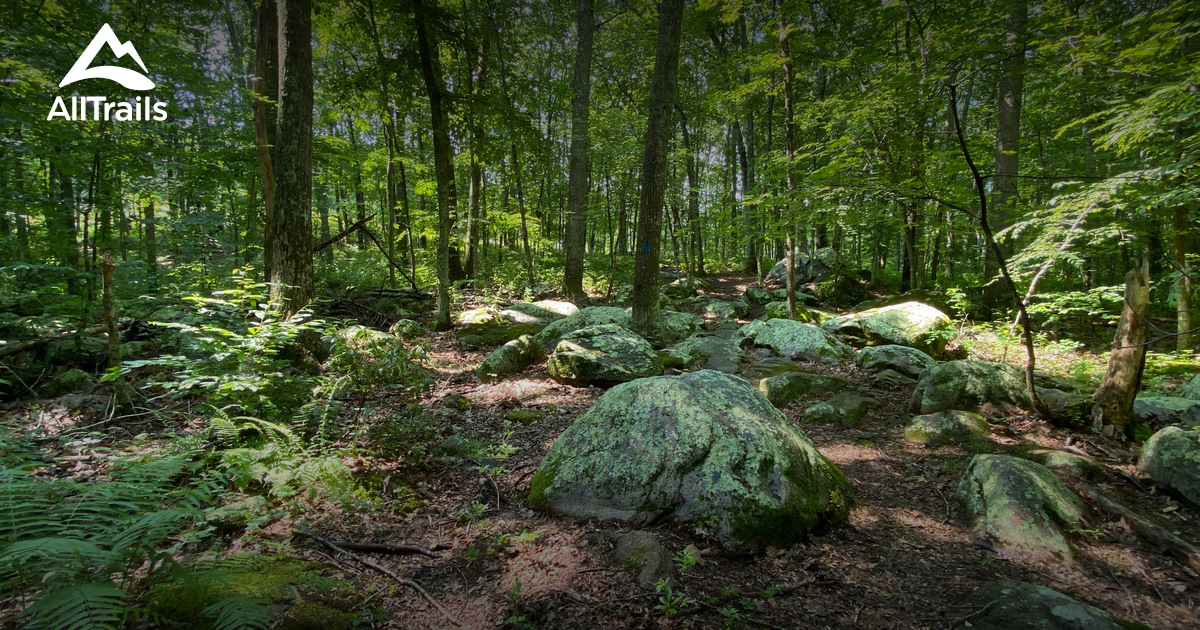 Best hikes and trails in Ledyard Glacial Park | AllTrails