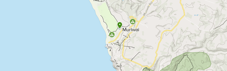 Best trails in Muriwai Regional Park, Auckland, New Zealand | AllTrails