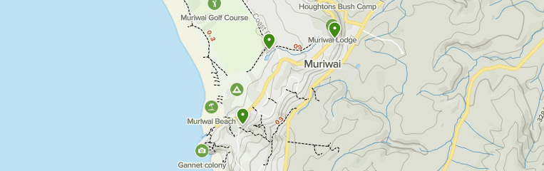 Best Trails in Muriwai Regional Park | AllTrails