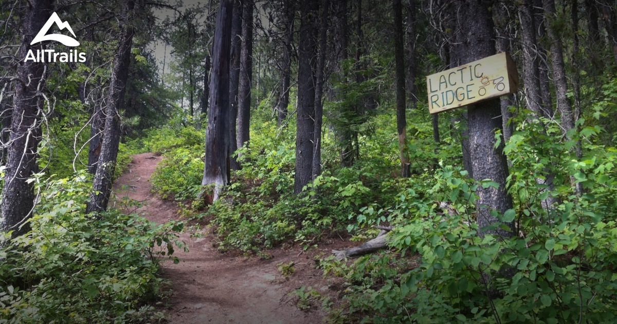 Best mountain biking trails in Fernie Trails Alliance | AllTrails