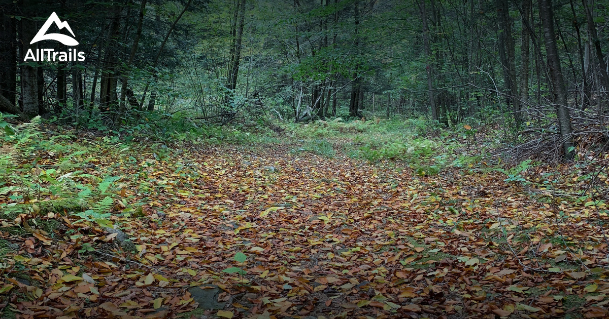 Best hikes and trails in Zemko Sawmill Preserve | AllTrails