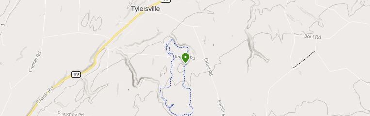 Best Trails in Pinckney State Forest - New York | AllTrails