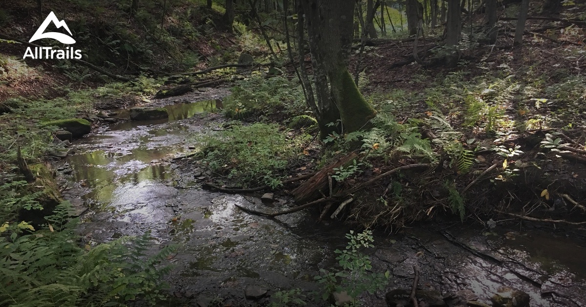 Best hikes and trails in Pinckney State Forest | AllTrails