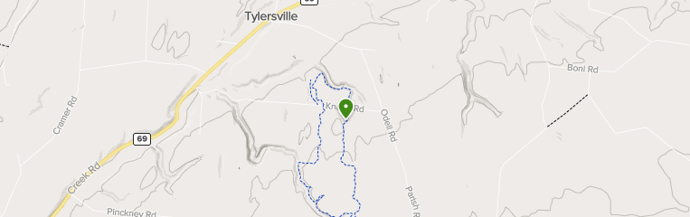 Best Hikes and Trails in Pinckney State Forest | AllTrails