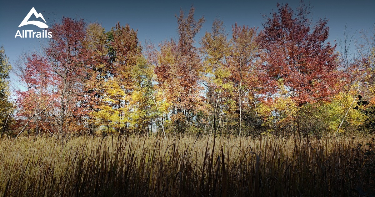 Best forest trails in Wilson Hill Wildlife Management Area | AllTrails