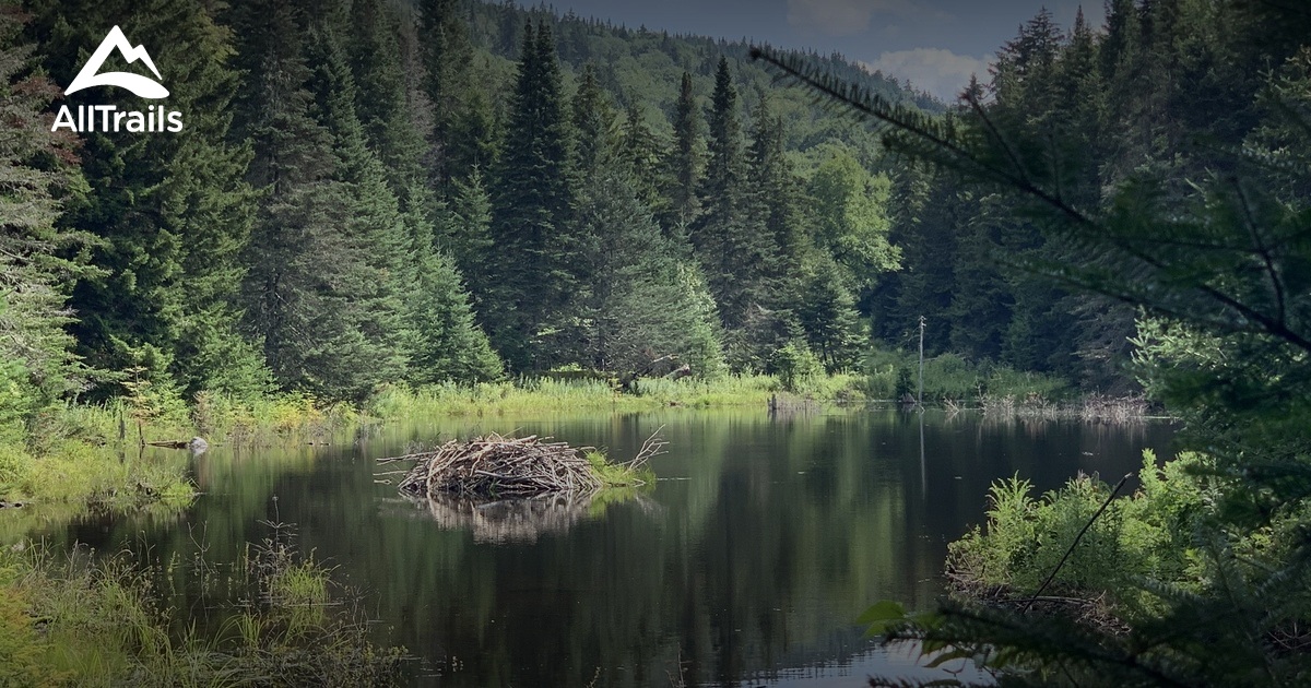 Best hikes and trails in Scragg Mountain Town Forest | AllTrails